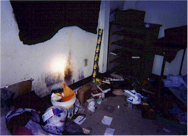Moldy, messy room | Mold-Help.org - The world's largest TOXIC MOLD website